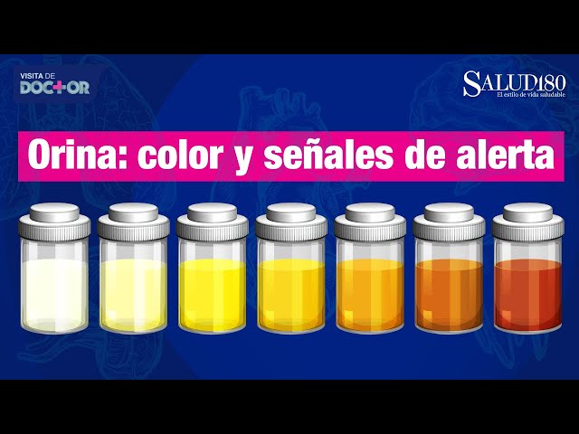 Qué causa mucosidad en las heces