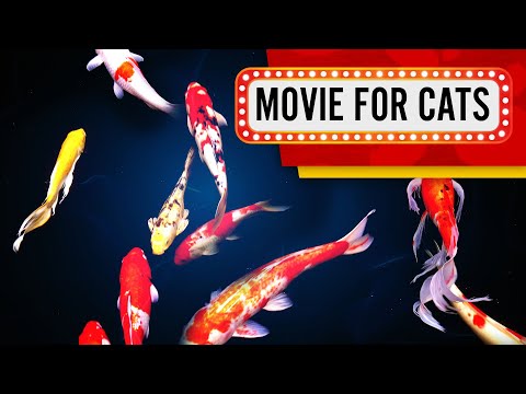 MOVIE FOR CATS - Mesmerizing Koi Carps! (Video for cats to watch) 3 Hours 4K