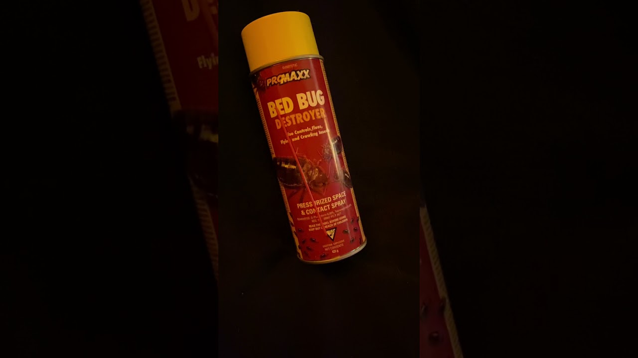 BEDBUGS NEW DISCOVERY