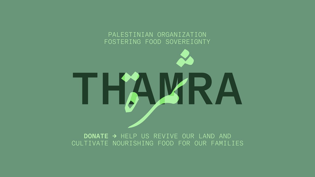 Your Guide on How to Support Mutual Aid Groups in Palestine as ...