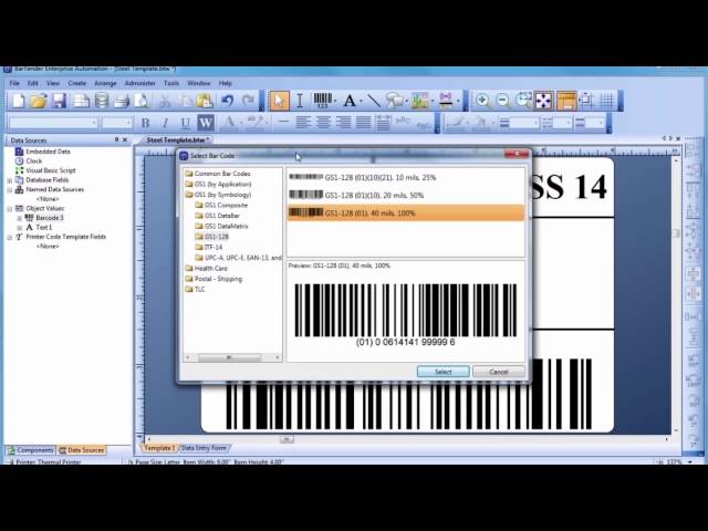 Barcode Software - Bartender Label Printing & designing Software from Noida