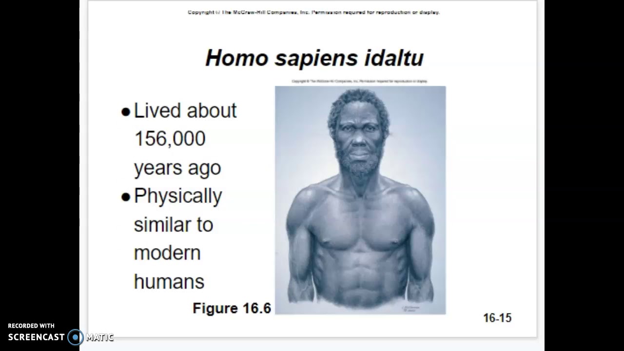 Human Evolution Notes part 1