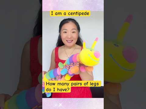 One, two, three , four,…sixteen pairs of legs! #funny #fun #english #englishforbeginners #numbers