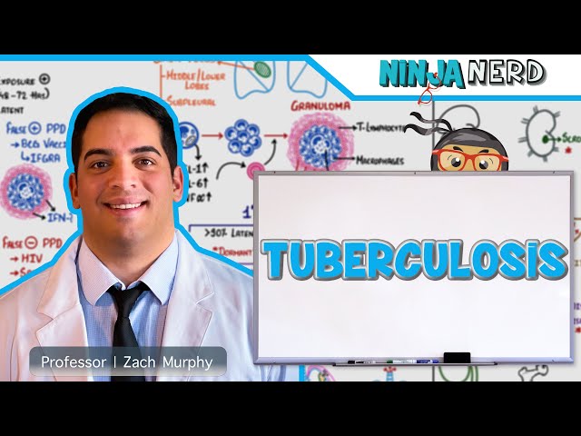 Understanding Tuberculosis: Pathophysiology, Diagnosis, and Treatment ...