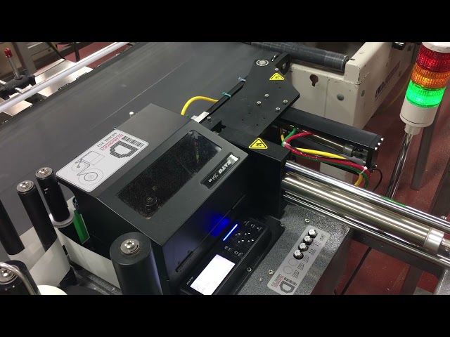 Print & Apply Label Applicator - Model 252 | Swing Tamp Label ...