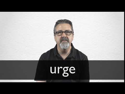 URGE - Aprende el significado, sinónimos y traducciones | Collins ...