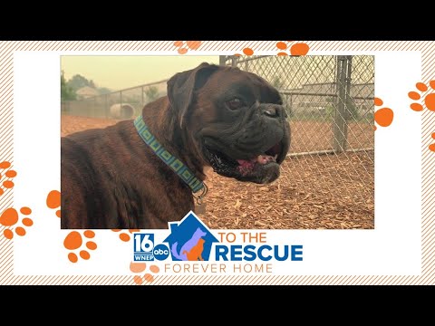 Sasha | 16 To The Rescue