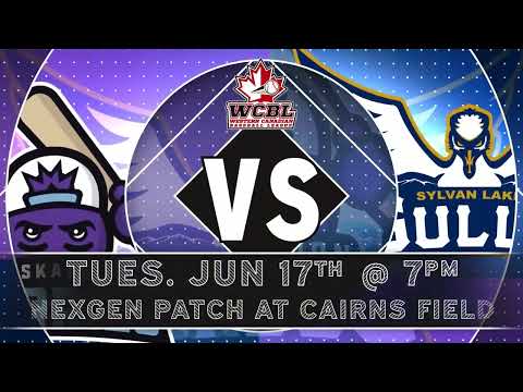 HIGHLIGHTS: Sylvan Lake Gulls at Saskatoon Berries - June 17, 2025