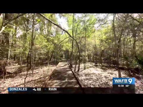 HEART OF LOUISIANA: Lake Fausse Pointe State Park