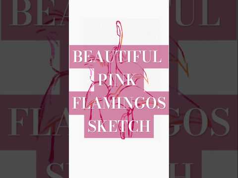 Pink Flamingos: Digital Art Sketch and Creative Process #Birds #Creative #Sketch