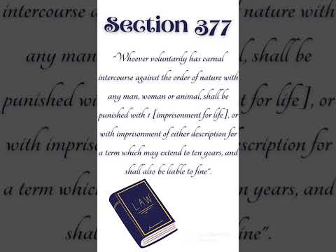 What is Section 377 ? #literaturesphere