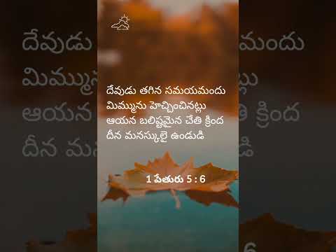 #bible #telugu #education #study #quotes