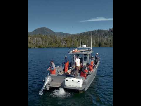 Just another perfect day in Sitka. #CastAlaska #Sitka #Salmonfishing #Alaska #drone #fishing