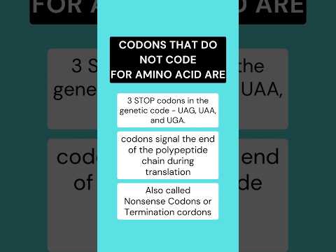 Nonsense codons |Stop codons | Codons that do not code for amino acid