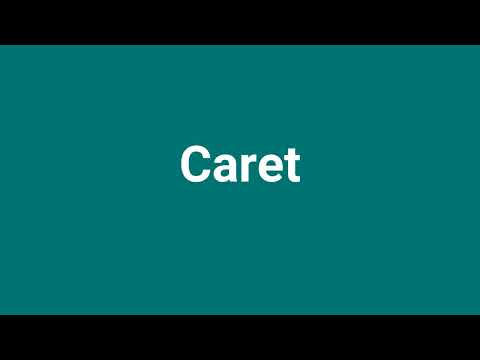 'Caret' Meaning and Pronunciation