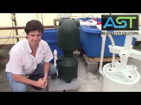 Fish Filter Acclimation: How to Cycle a New System