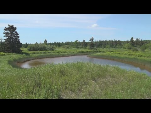Maine sues NOAA over canceled $9M grant awarded to state marine agency