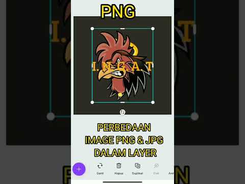 Perbedaan PNG dan JPG #png #jpg #ingat