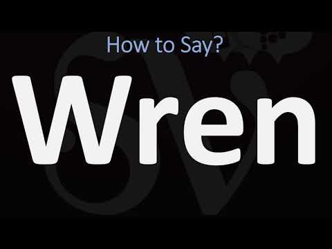 How to Pronounce Wren? (CORRECTLY)