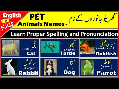 Pet Animals Names List In English And Urdu With Pictures