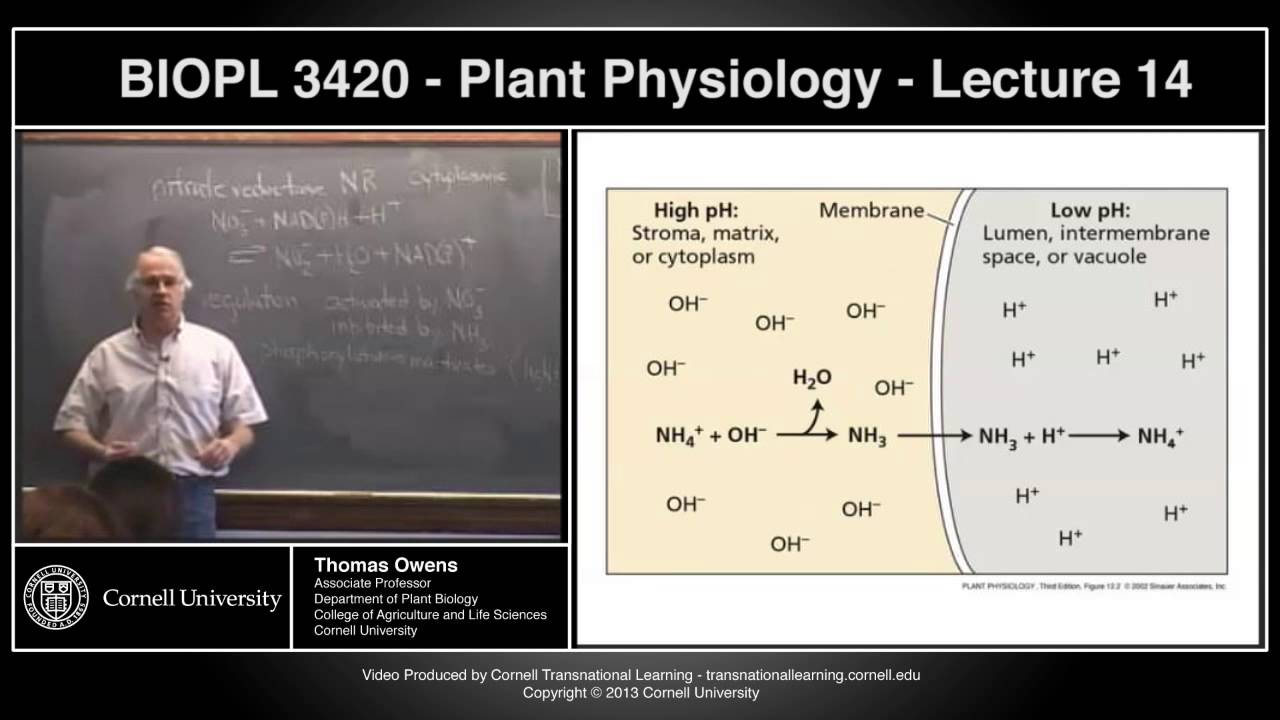BIOPL3420 - Plant Physiology - Lecture 14