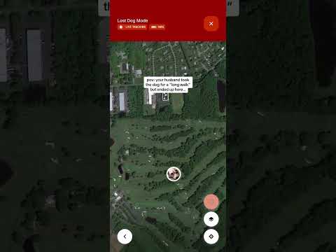 #ficollar #dogwalkerlife #map #googlemaps #dogwalkinglife