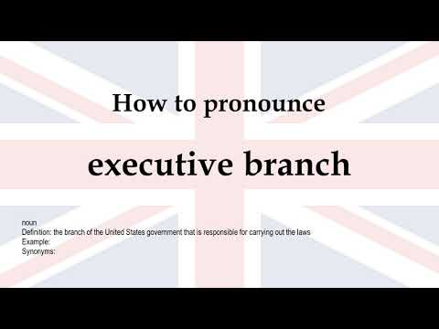 How to pronounce 'executive branch' + meaning