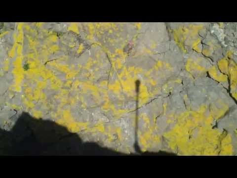 Innovative Systems Live Streaming Of Cape Split