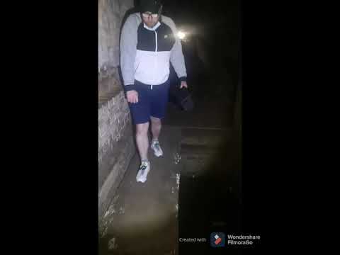 ABANDANT tunnels unknown animal inside WTH ?