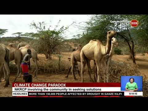 Climate Change Paradox I Northern Kenyan Rangeland Carbon Project impacting lives among pastoralists