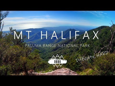 IN-DEPTH Guide to Hiking Mt Halifax - PALUMA RANGE NATIONAL PARK | Tropical FNQ