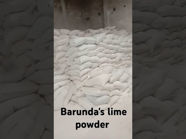 Lime Powder - White Lime Powder Wholesaler from Patna
