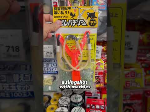 Monkeys are a pest in Japan