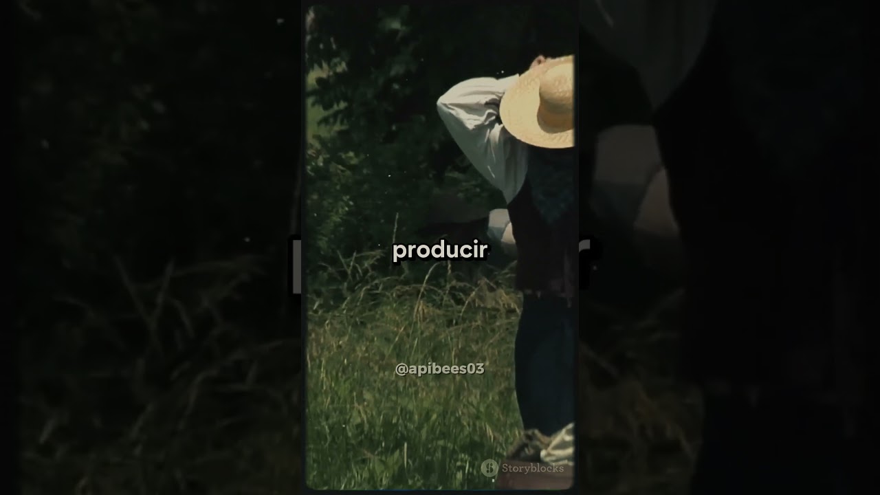 The Invasive Bee, This Bee Should Not Have Existed #bees #bee #apibees