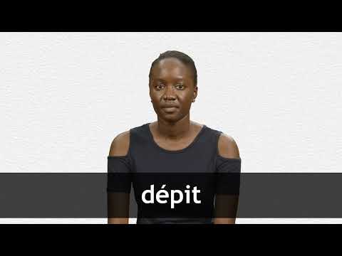 English Translation of “DÉPIT” | Collins French-English Dictionary