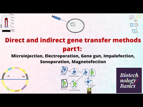 Direct and indirect gene transfer methods part1: Microinjection, electroporation, genegun and others