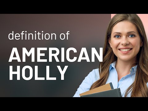 American holly • meaning of AMERICAN HOLLY