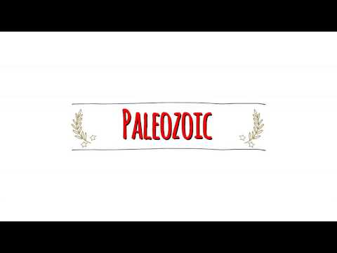 American vs Australiaan Accent: How to Pronounce PALEOZOIC in an Australian or American Accent