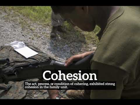 How to Say Cohesion in English? | What is Cohesion? | How Does Cohesion Look?