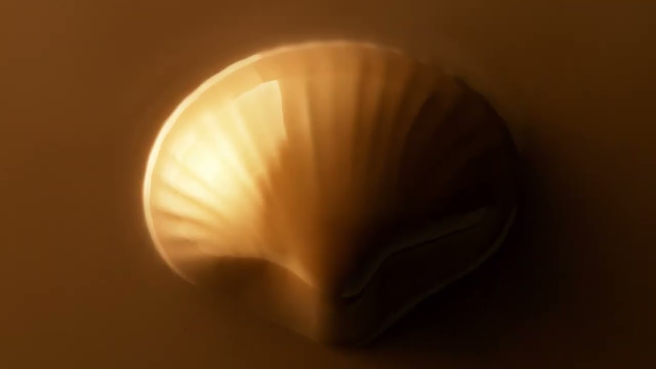 Guylian The Original Belgian chocolate Seashells