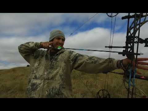 Badlands Spot and Stalk Archery Mule Deer