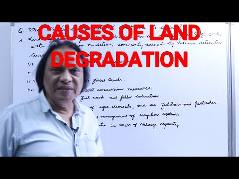 Causes of Land Degradation II Indian Economic Development II Class 12 Economics II Challenges