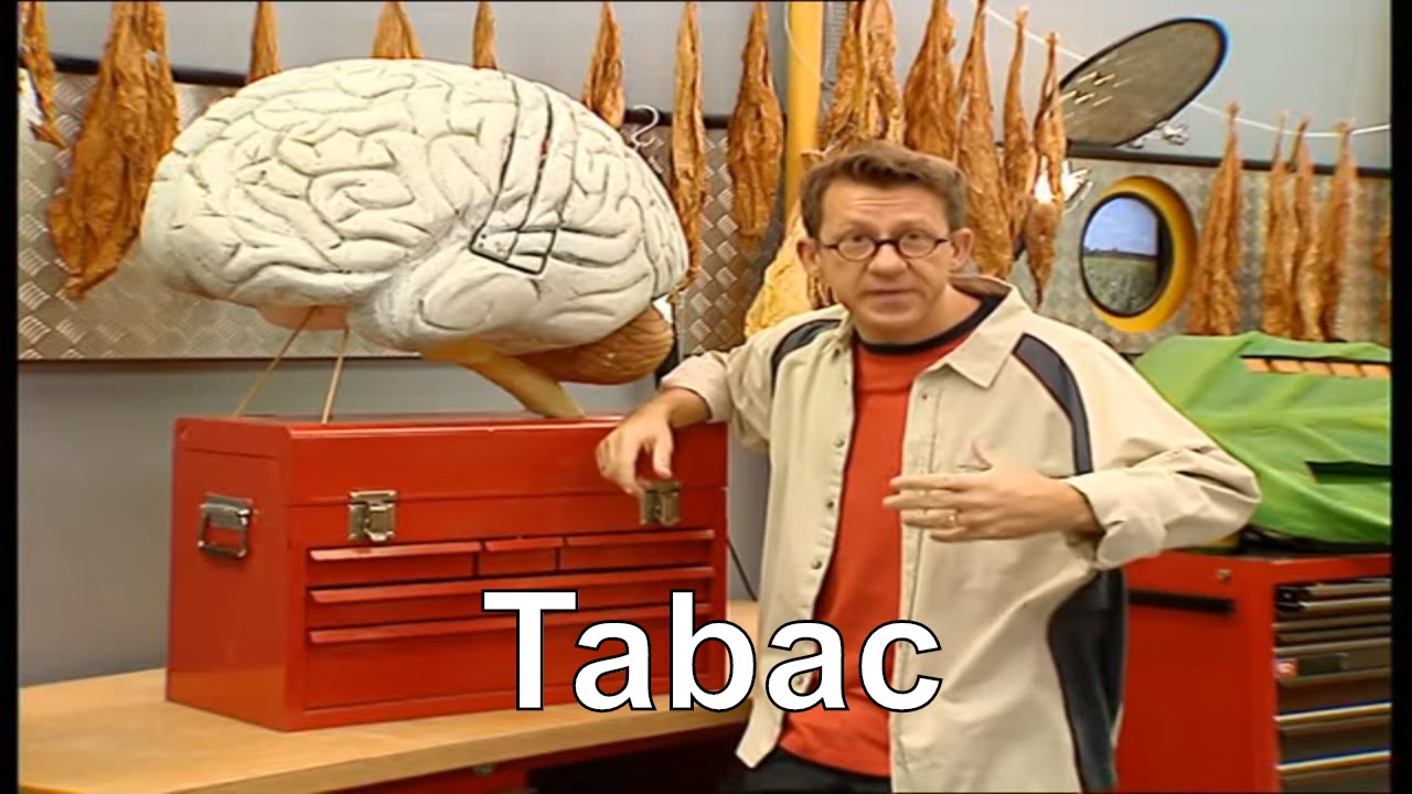 Comment la nicotine agit-elle sur le cerveau ? - C'est pas sorcier