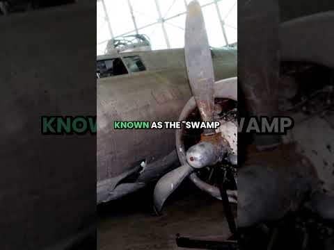 The ‘Holy Grail of Military Aviation’ - Found After 68 Years In the Jungle #Shorts