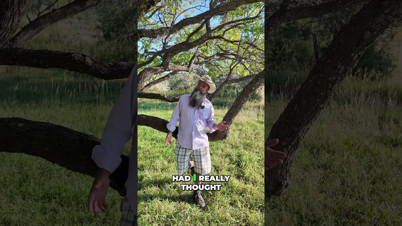 Mob Grazing 1,000 Sq Ft/Day—The Surprising Result!