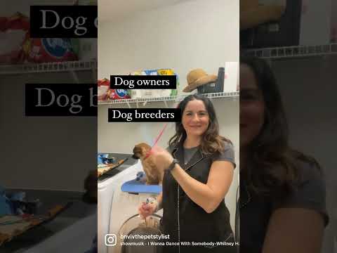 Who my online dog grooming course is for!