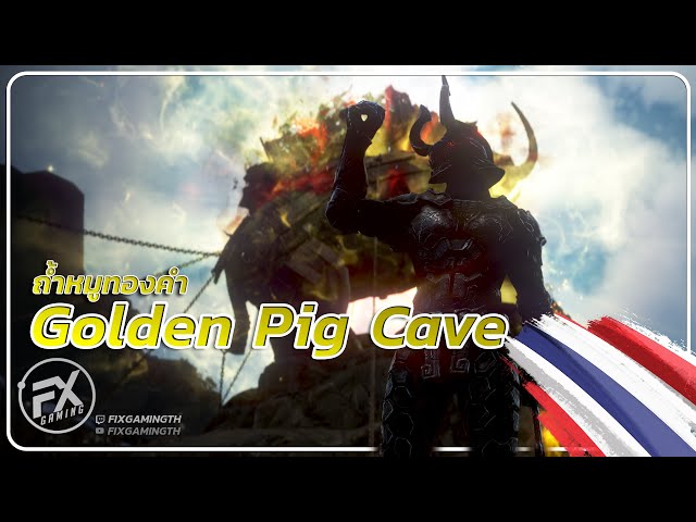 Black Desert Online [ Guide ] Golden Pig Cave ถ้ำหมูทองฟาร์มไงไปดูกัน ...