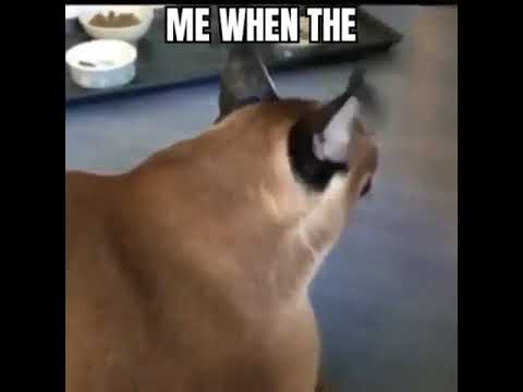 Steam Community :: Video :: Me when the