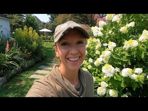 Seeding Fall Flowers and Checking on Sunflower Successions // Northlawn Flower Farm