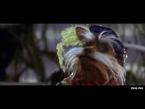 Labyrinth Didymus "None may pass without my permission"